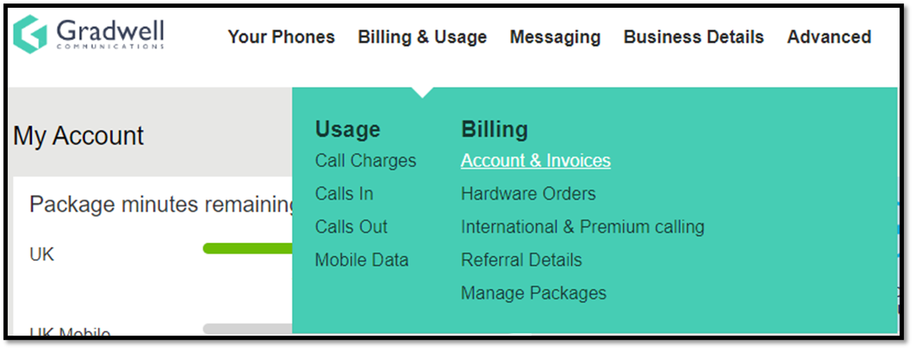 How to Download Invoices from the Control Panel
